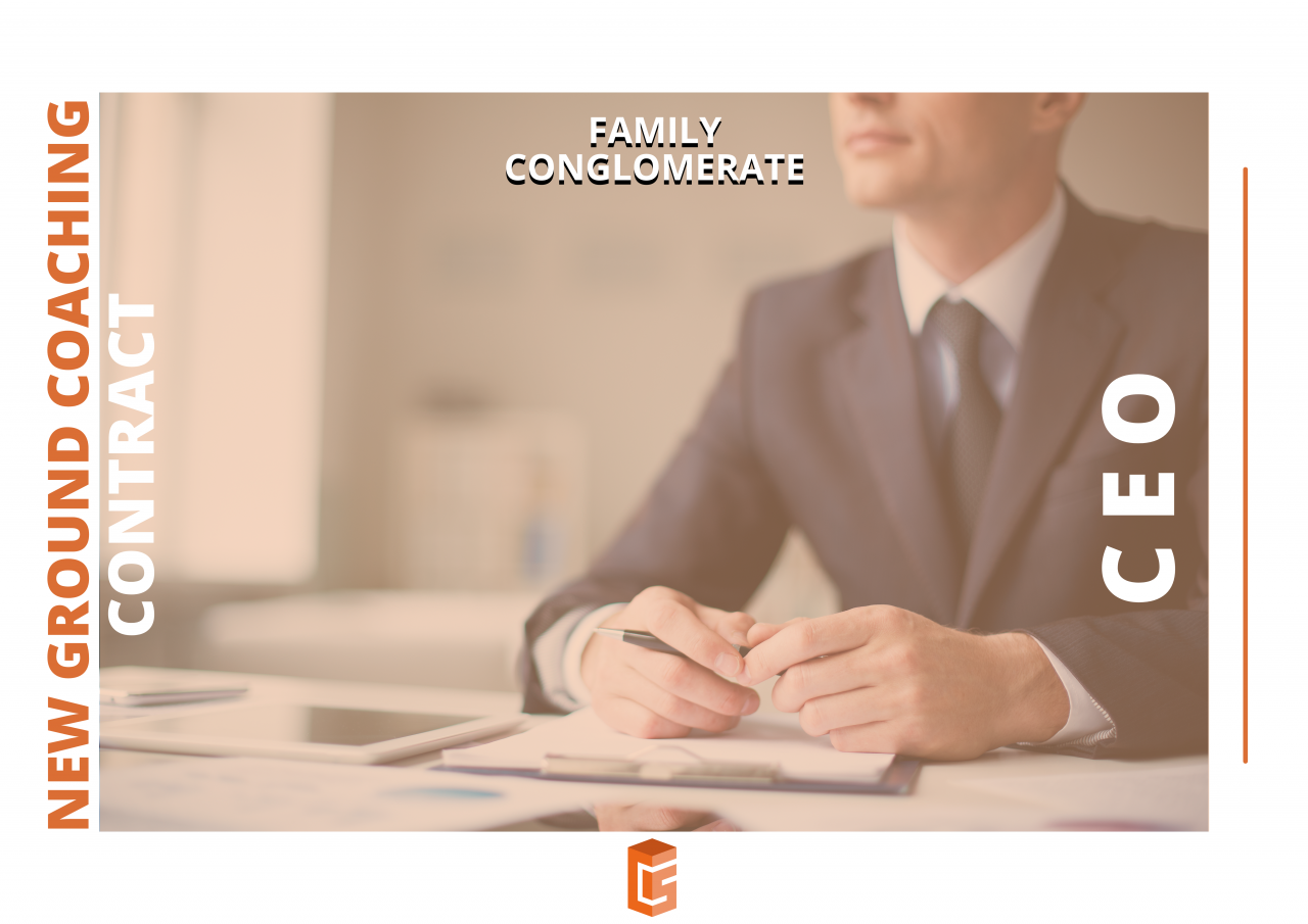 C&S Partners - Materializing Leadership