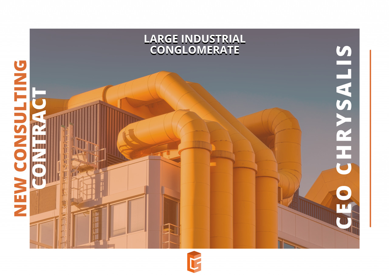 NEW PROJECT – Industrial conglomerate board member's assessement
