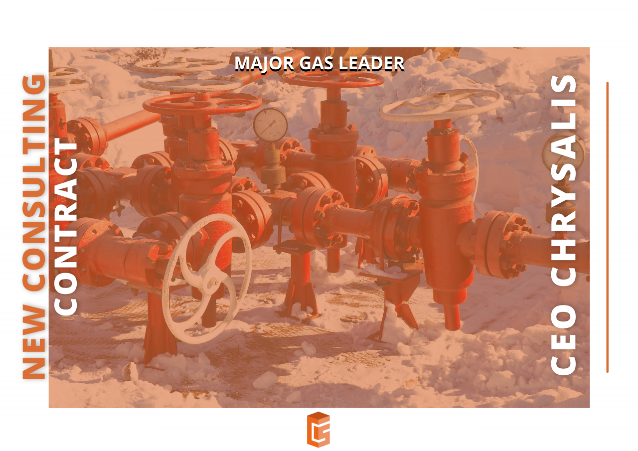 C&S Partners – NEW PROJECT – Major gas leader's next CEO